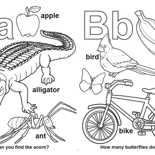 ABC-123 Letters Numbers Coloring Book