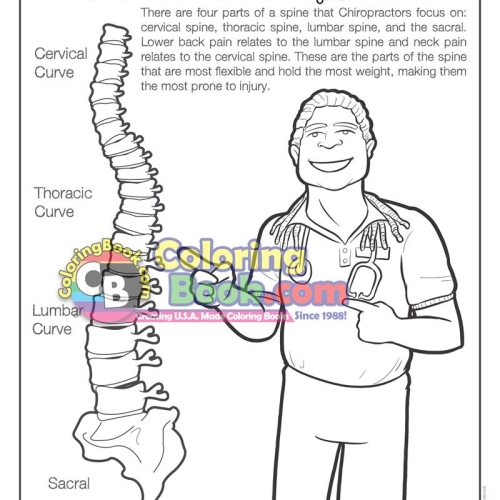 Chiropractor Imprintable Coloring and Activity Book
