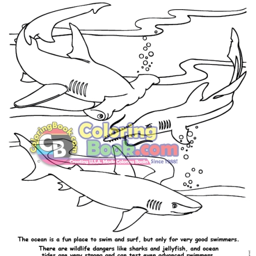 Water Safety Imprintable Coloring and Activity Book